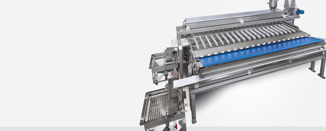 Seeder | Seed Depositor | Seed Topping Equipment for Bread Baking